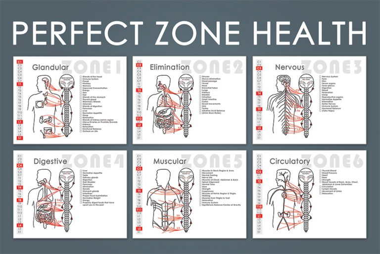 Zone Technique Cumming GA - Backsmart Health Chiropractic